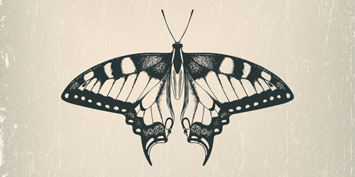 Exploring Axial Symmetry - OMC Math Blog